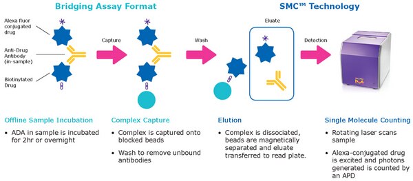 SMC™ Immunogenicity Bead Based Assay Development Kit | 03-0175-00